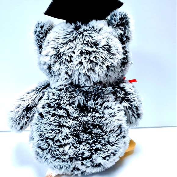 Dan Dee | Toys | Dan Dee Graduation Gray Owl Look Whooos Graduating ...